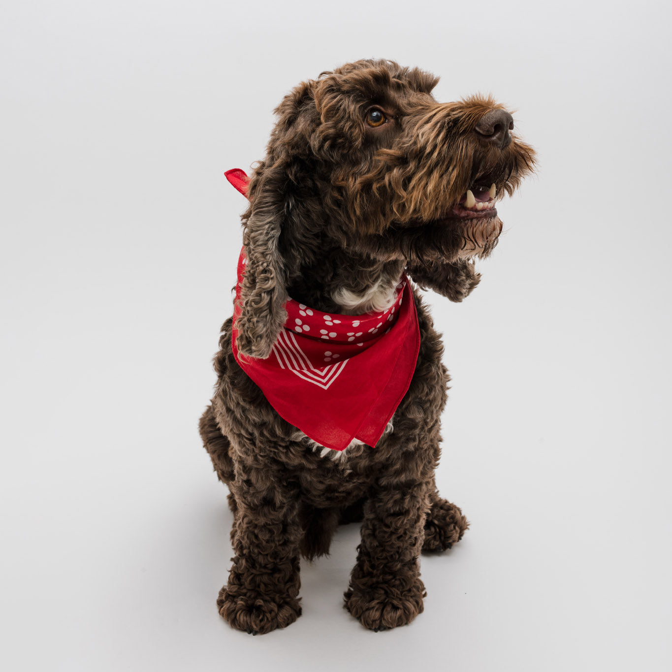 Cornish Gifts – National Maritime Museum Cornwall