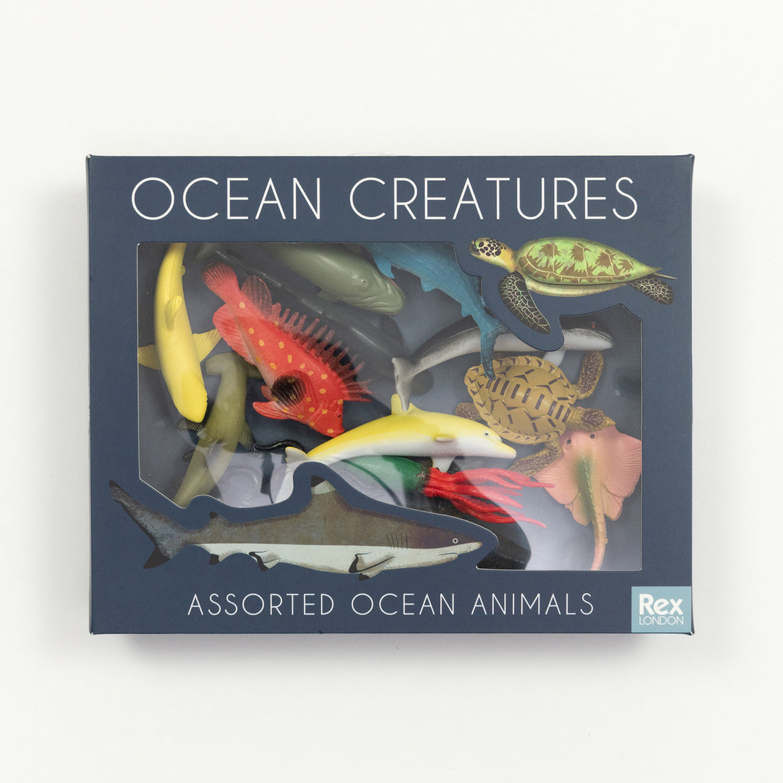 Assorted Ocean Animals – National Maritime Museum Cornwall